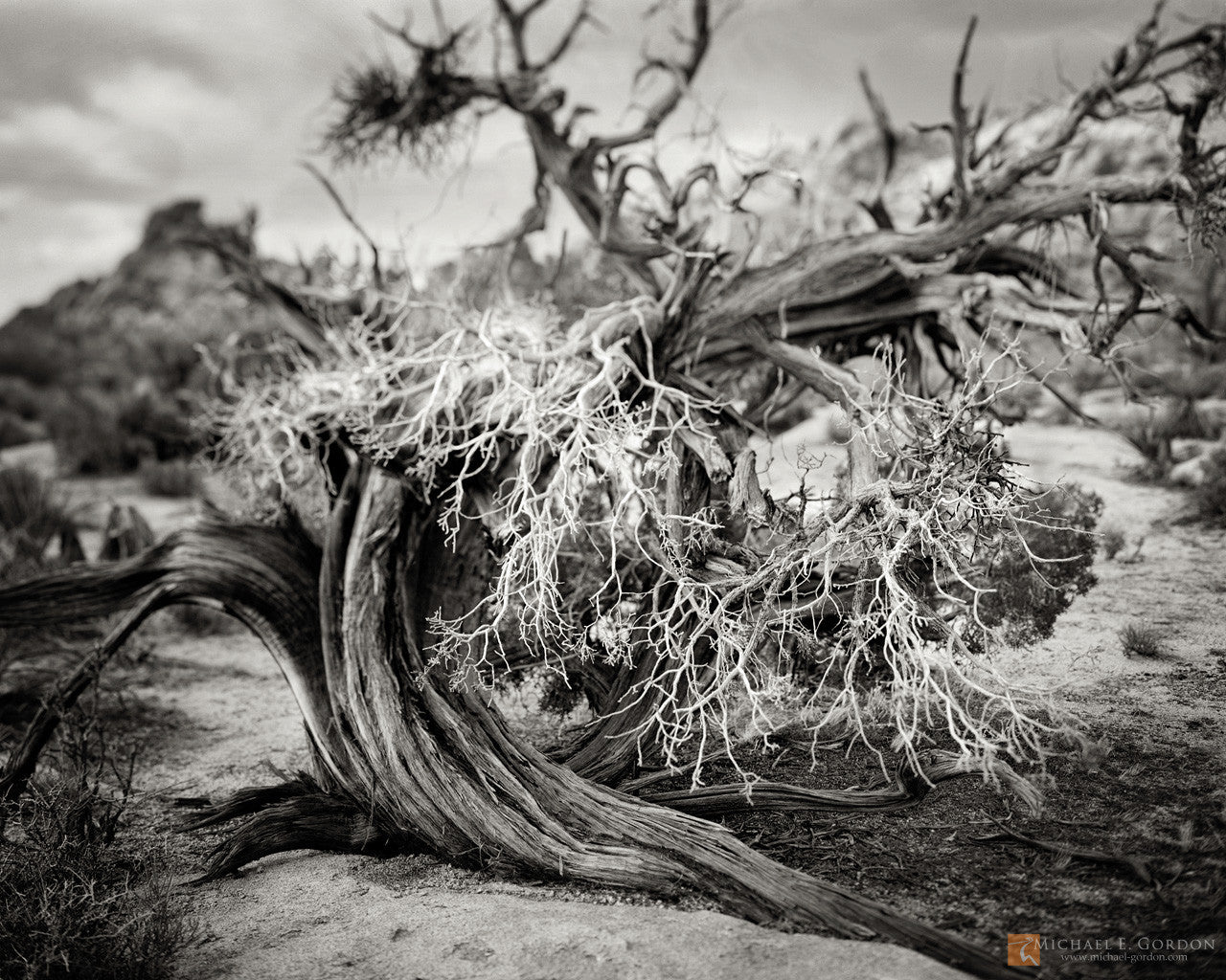 Photography Page 2 - Art Urbane